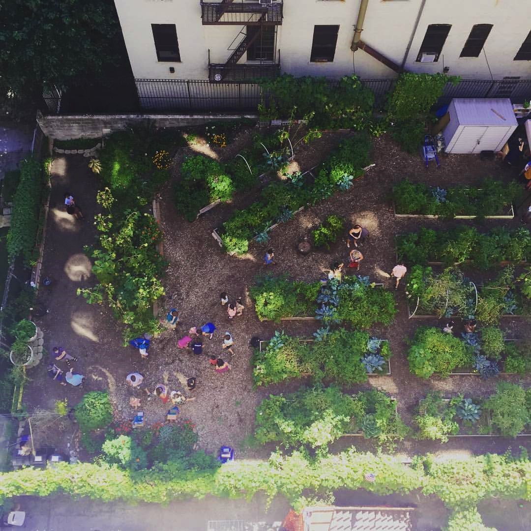 News from the Acres: What Can You Do in a Community Garden? – 596 Acres